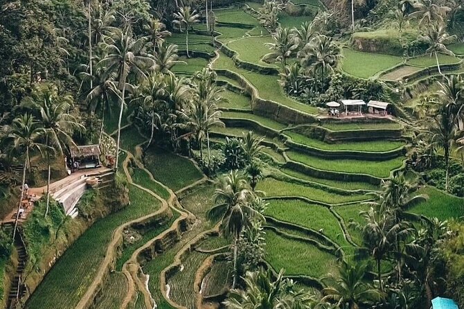 Private Customized Tour with Local Guide - FAQs