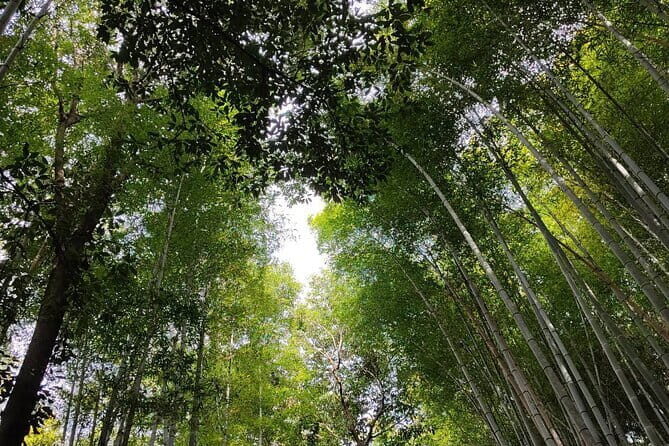 Private Customized Walking in Tour Kyoto - Introduction to the Experience