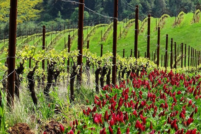 Private Customized Willamette Valley Wine Maker Tour With Lunch - Booking and Cancellation Policies