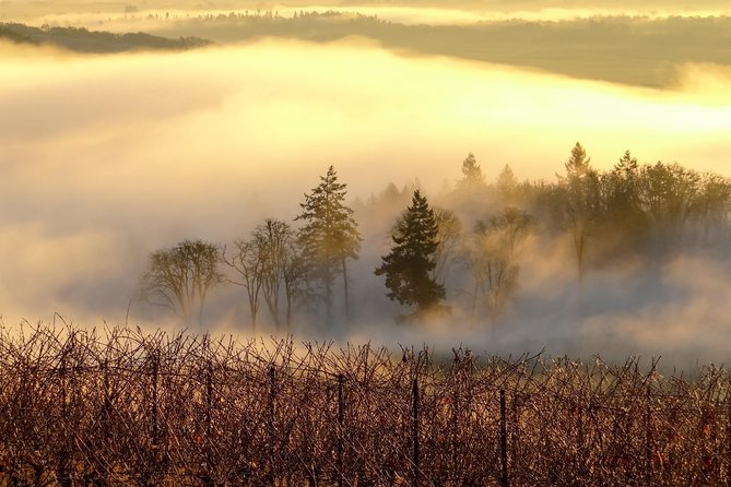 Private Customized Willamette Valley Wine Maker Tour With Lunch - Customization Options