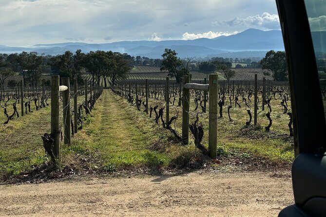 Private Customized Yarra Valley Wine Tour - FAQ