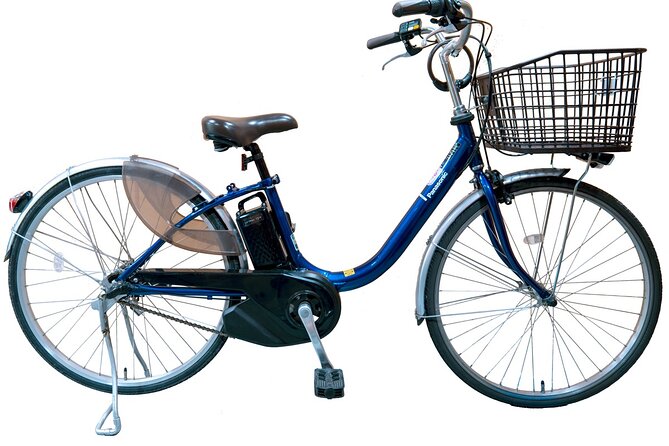 Private Cycling Tour by E-Bike (Am; With an Authorized Guide) - Exploring Hidden Treasures