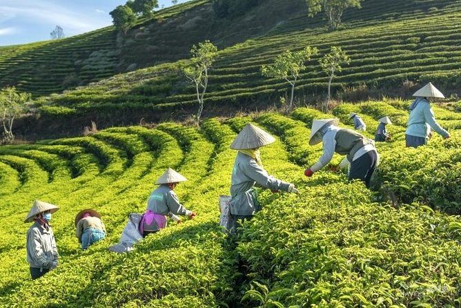 Private Da Lat 3 Days 2 Nights From Saigon - Exploring the Itinerary in Depth