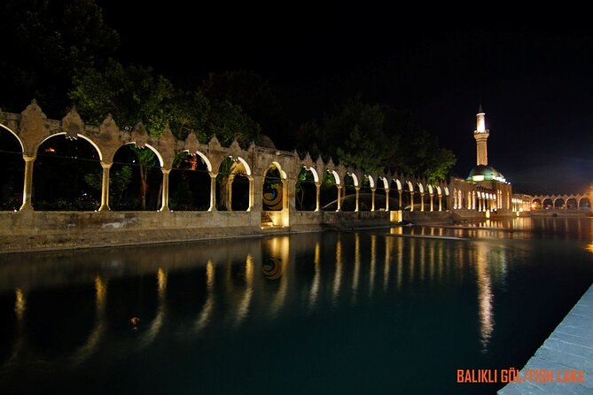 Private Daily Tour in Gobeklitepe and Karahantepe From Istanbul - Accessibility and Participation