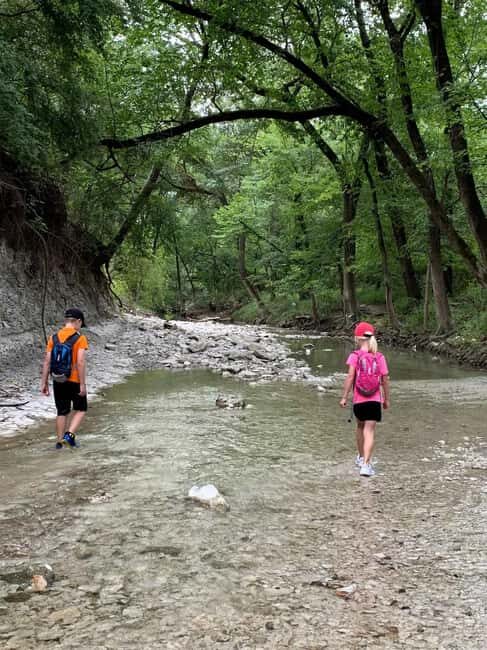 Private: Damajagua Waterfalls Adventure with Jungle Trek - An In-Depth Look at the Damajagua Waterfalls Adventure