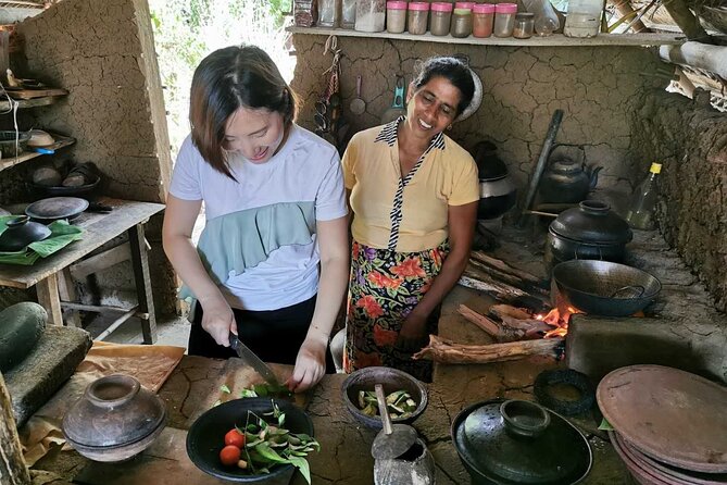 Private Dambulla Sigiriya Tour from Kandy with friendly chauffeur - An Overview of the Experience