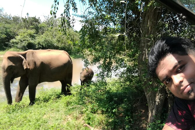 Private Dambulla Sigiriya Tour from Kandy with friendly chauffeur - The Sum Up