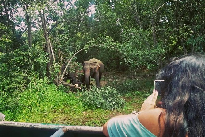 Private Dambulla Sigiriya Tour from Kandy with Lunch - What the Tour Includes: Convenience and Comfort