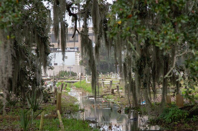 Private Darkside of New Orleans Tour: Spirits, Vampire and Voodoo - A Deeper Dive into the Experience