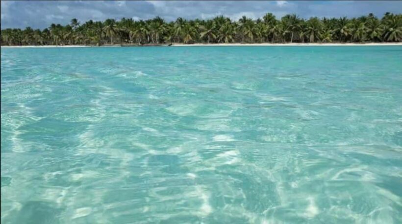 Private Day Excursion to Saona Island from Juan Dolio - Relaxing on Saona Island