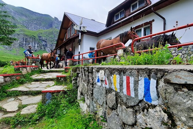 Private day hike from Brasov to Malaiesti Cottage - The Practical Side: Pricing, Booking, and Considerations