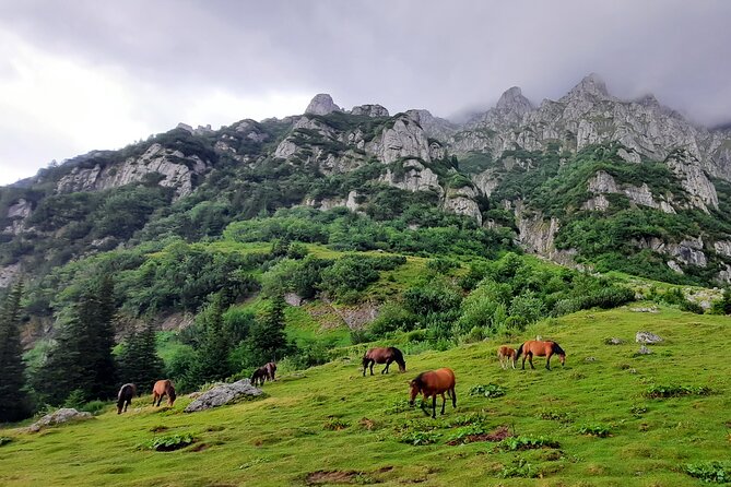Private day hike from Brasov to Malaiesti Cottage - Who Will Love This Experience?
