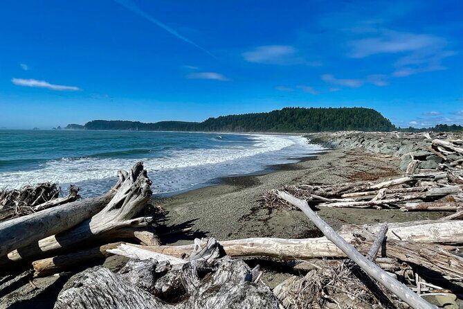 Private Day Hike in the Ozette Triangle - Discovering the Ozette Triangle: A Complete Breakdown