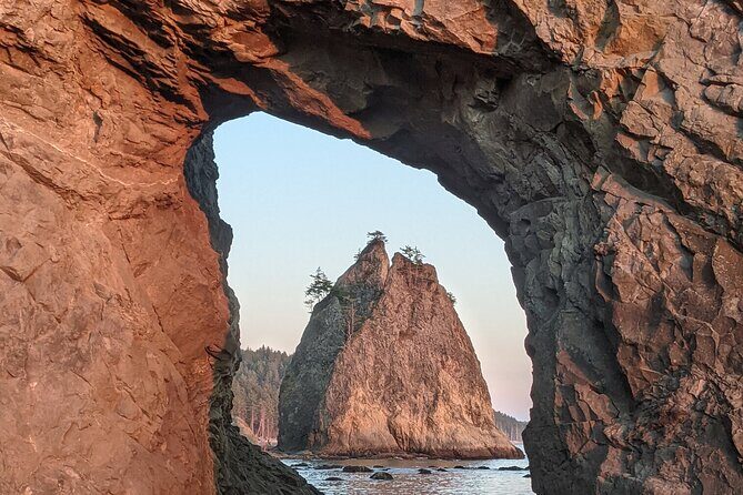 Private Day Hike- Rialto Beach Tide Pooling - Who Will Love This Tour?