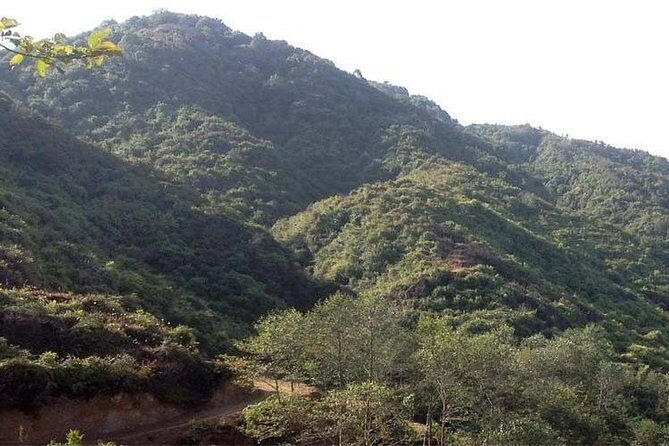 Private Day Hike to Shivapuri - An In-Depth Look at the Shivapuri Day Hike