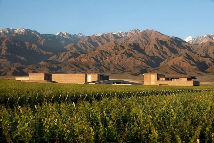 Private Day Mendoza Wineries (Opt Flight from Buenos Aires) - An In-Depth Look at the Mendoza Private Wine Tour