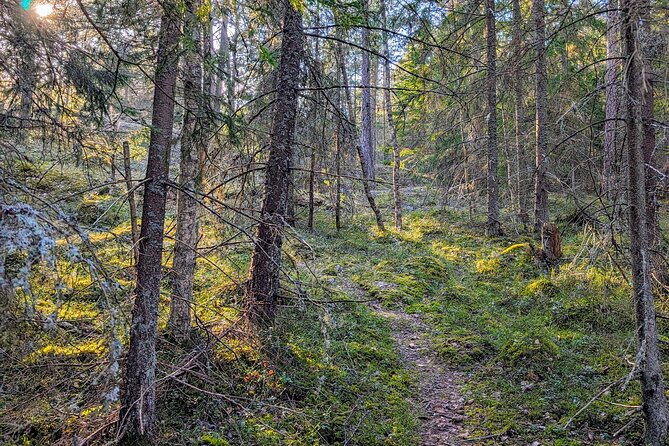 Private Day Road Trip from Helsinki: Raseborg, Fagervik, Porkkala - Who Is This Tour Best For?