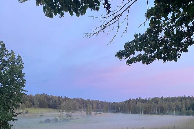 Private Day Road Trip from Helsinki: Raseborg, Fagervik, Porkkala - Final Thoughts