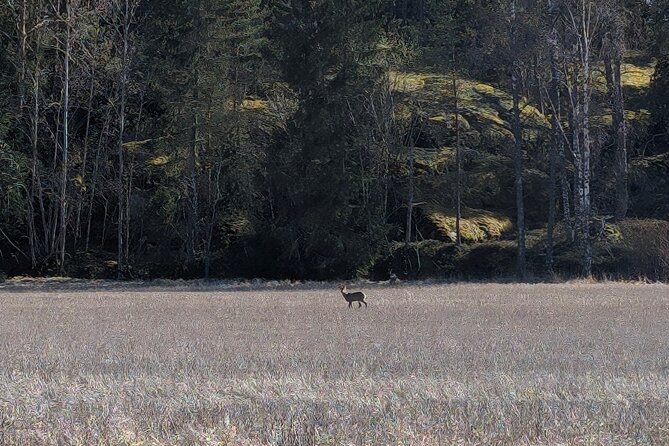 Private Day Road Trip from Helsinki: Raseborg, Fagervik, Porkkala - FAQs