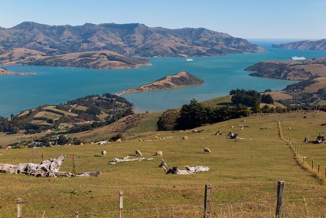 Private Day Scenic Excursion to Akaroa/Christchurch ex Lyttelton - Final Thoughts