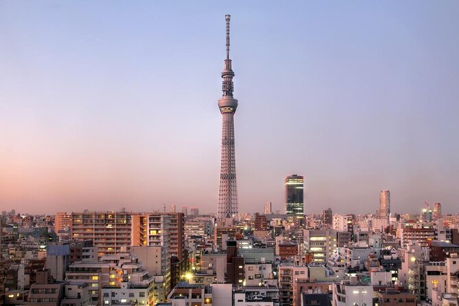 Private Day Tokyo Tour Custom Itinerary / English-Speaking Driver - Key Points