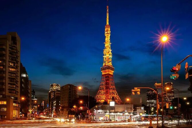 Private Day Tokyo Tour Custom Itinerary / English-Speaking Driver - Customer Feedback and Experiences