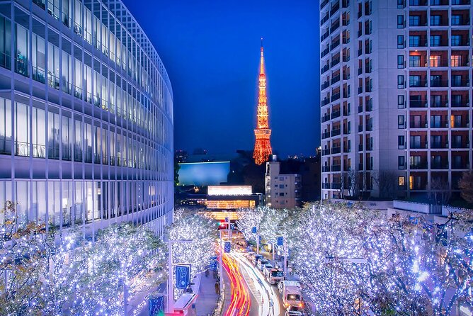 Private Day Tokyo Tour Custom Itinerary / English-Speaking Driver - Preparing for Your Private Tokyo Tour
