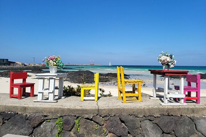 Private Day Tour A lot of Experienced Jumbo Taxi Driver in jeju - The Experience and the Cost: Is It Worth It?