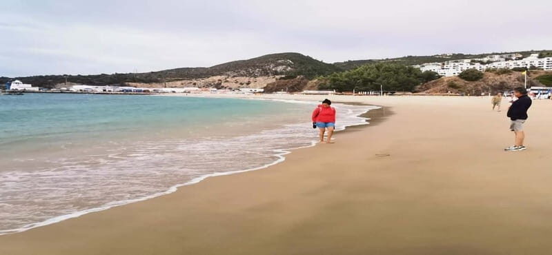 Private day tour Arrábida, Palmela Castle, tiles and Winery - A Deep Dive into the Experience