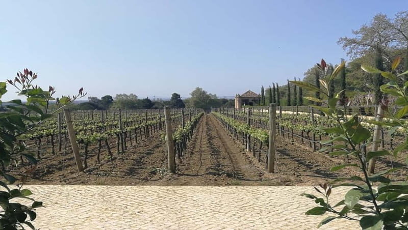 Private day tour Arrábida, Palmela Castle, tiles and Winery - FAQ