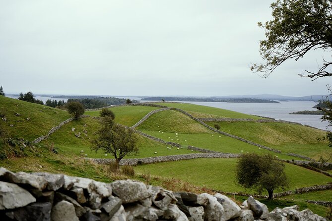 Private Day Tour Cliffs of Moher from Dublin - Key Points
