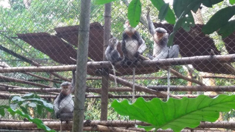 Private Day Tour: Cuc Phuong National Park from Hanoi - The Authenticity and Impact of the Experience