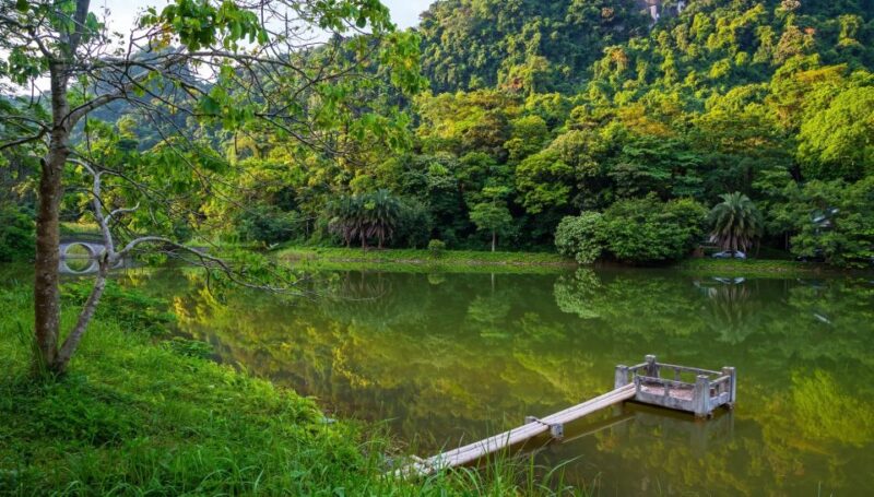 Private Day Tour: Cuc Phuong National Park from Hanoi - Who Should Consider This Tour?