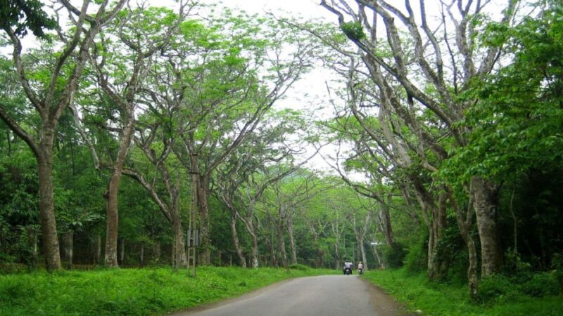 Private Day Tour: Cuc Phuong National Park from Hanoi - The Sum Up: Who Benefits Most?