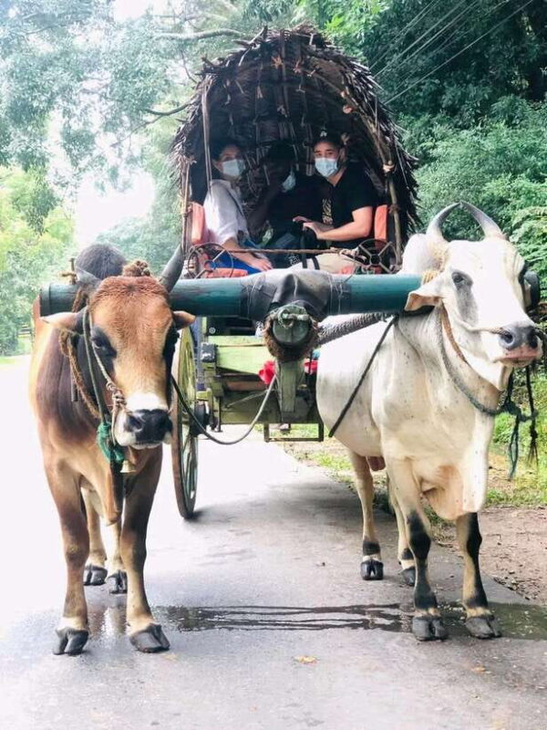 Private Day Tour Dambulla Sigiriya Village Tour - Key Points