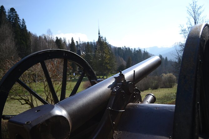 Private Day Tour: Draculas Castle, Peles Castle and Brasov - Brasov