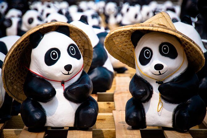 Private Day Tour: Dujiangyan Panda Base and Irrigation Project - Key Points