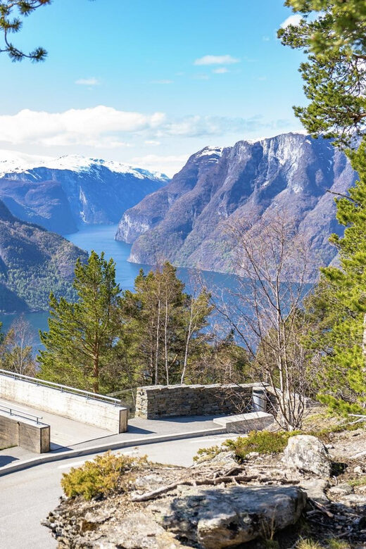 Private Day Tour- Flam Railway & Fjord Cruise From Bergen - What’s Included and What’s Not?