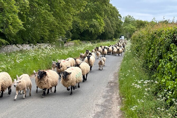 Private Day Tour From Bath to the Captivating Cotswolds - Seamless Transportation and Exceptional Guiding