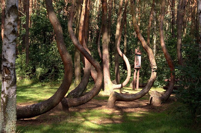 Private Day Tour From Berlin to Szczecin Poland - Culinary Delights Along the Way