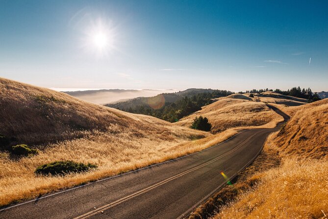 Private Day Tour From Florence to Pisa, Chianti and San Gimignano - Discovering San Gimignano