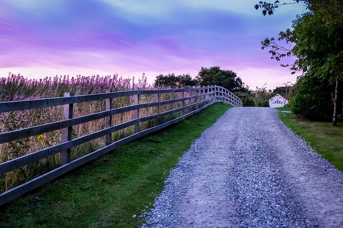 Private Day Tour From Florence to Pisa, Chianti and San Gimignano - Exploring the Chianti Region