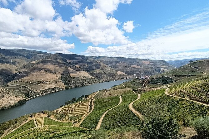 Private day tour from Porto to Douro Valley - Savoring the Region: Lunch with a View