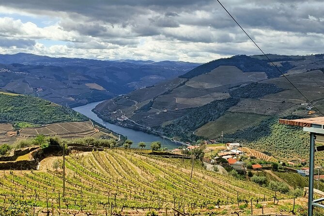 Private day tour from Porto to Douro Valley - Afternoon Visit: Douro Valley Winery & Port Wine Tasting