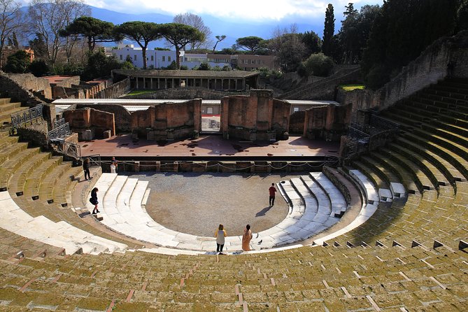 Private Day Tour from Rome to Pompeii and Herculaneum with Hotel Pick up - FAQ
