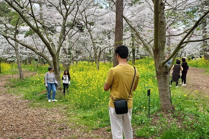 Private Day tour Guided Taxi Driver All Jeju area in Jeju island - Introduction