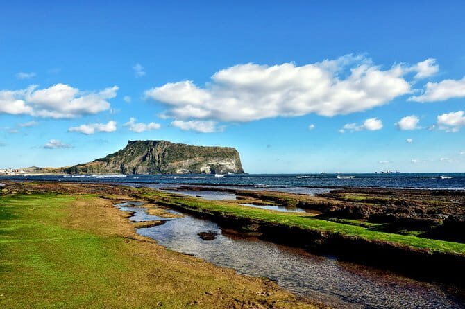 Private Day tour Guided Taxi Driver All Jeju area in Jeju island - Practical Details and Tips