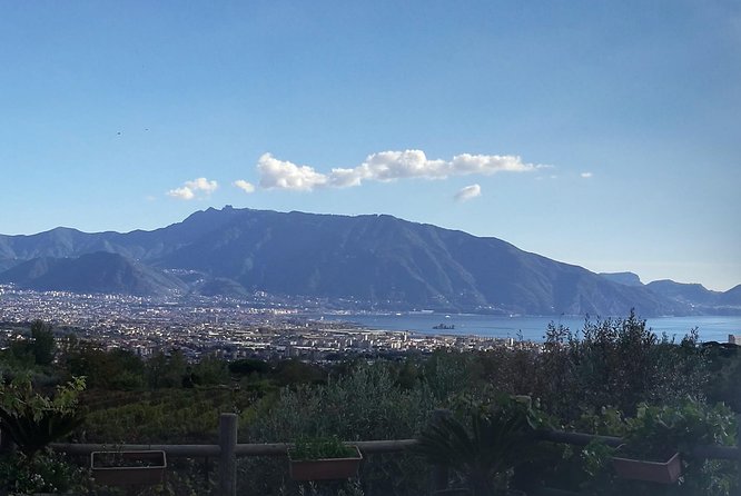 Private Day Tour: Herculaneum and Wine Tasting - What Past Travelers Say