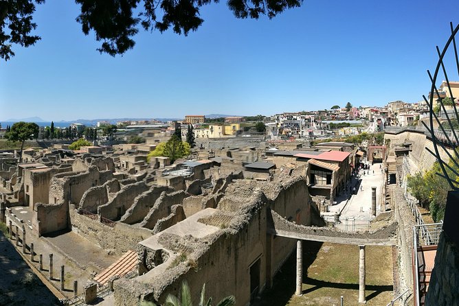 Private Day Tour: Herculaneum and Wine Tasting - FAQ