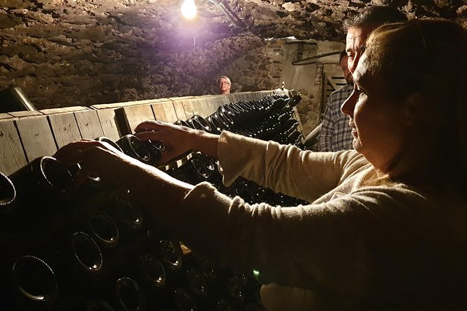 Private Day Tour in Champagne - Discovering Local Champagne Producers